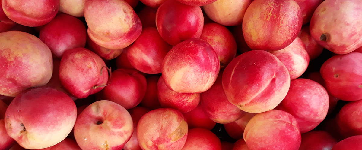 Four Peach Recipes for Summer