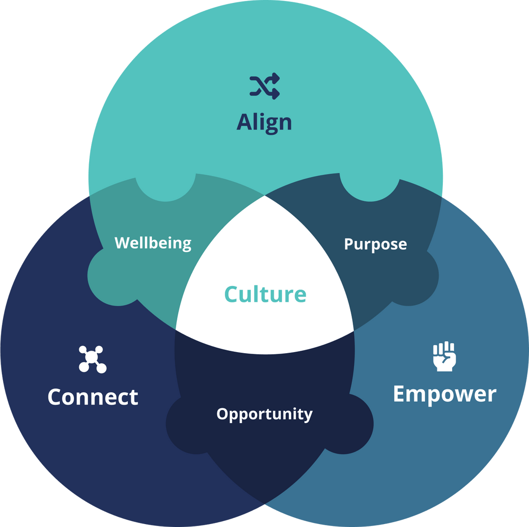 Employee Recognition Software and Rewards Platform | Guusto