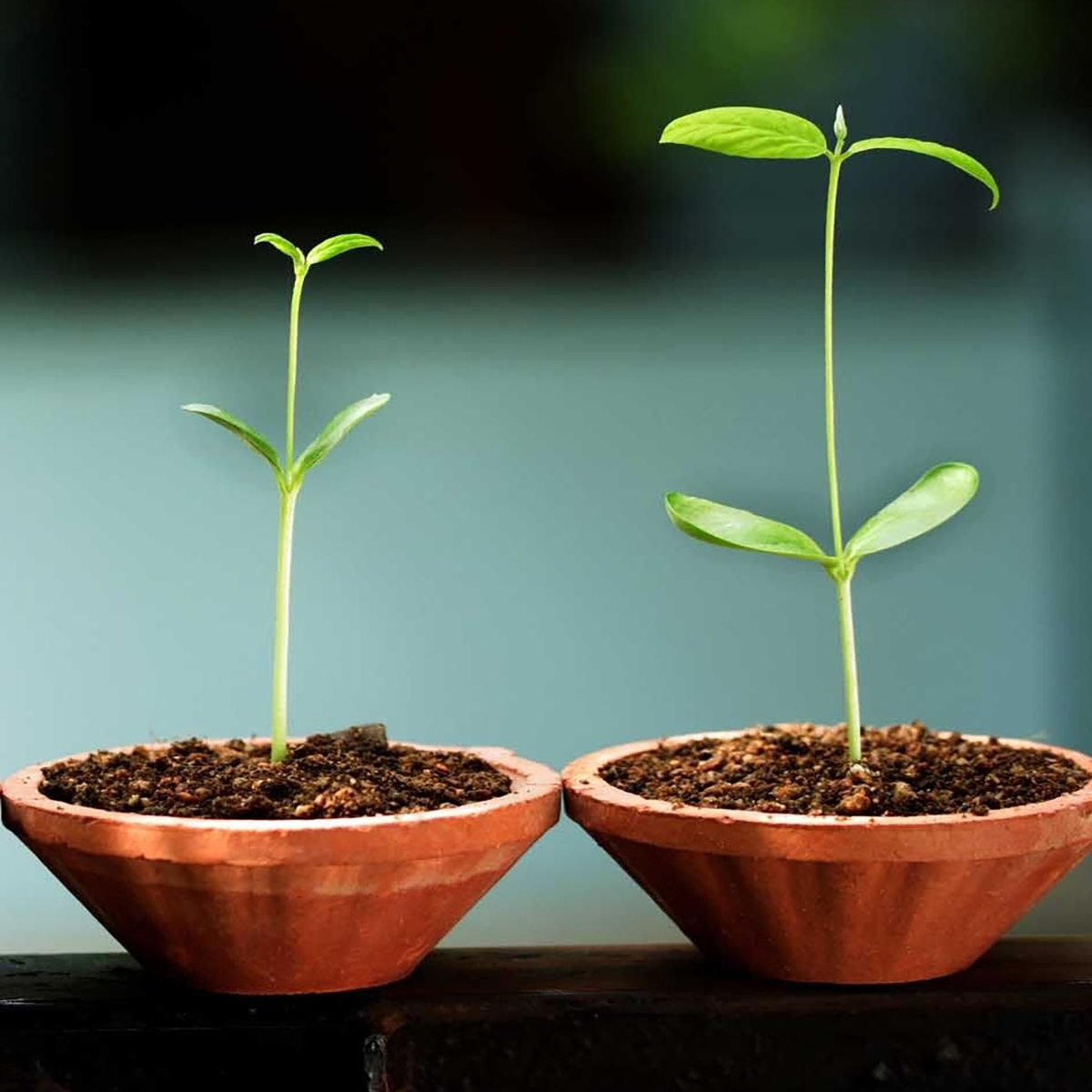 Grow to Greatness: Smart Growth for Private Businesses, Part II ...