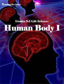 3-5 Life Science: Human Body I - Intellego