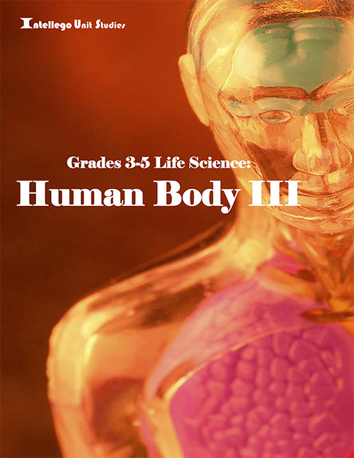 3-5 Life Science: Human Body III - Intellego