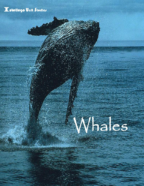 Elective Unit Studies: Whales - Intellego