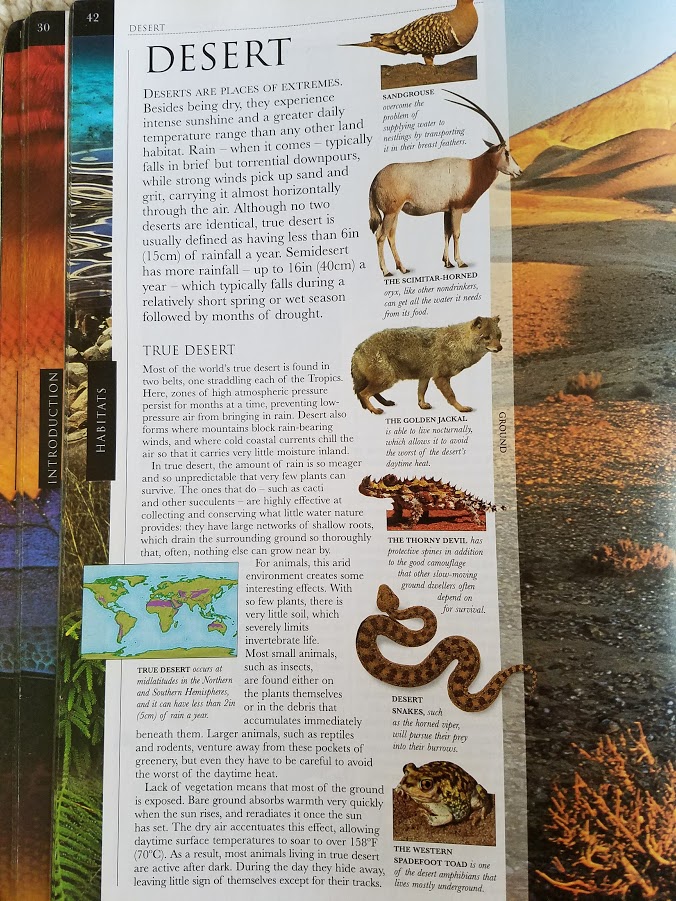 Animal: The Definitive Visual Guide to the World's Wildlife - The ...