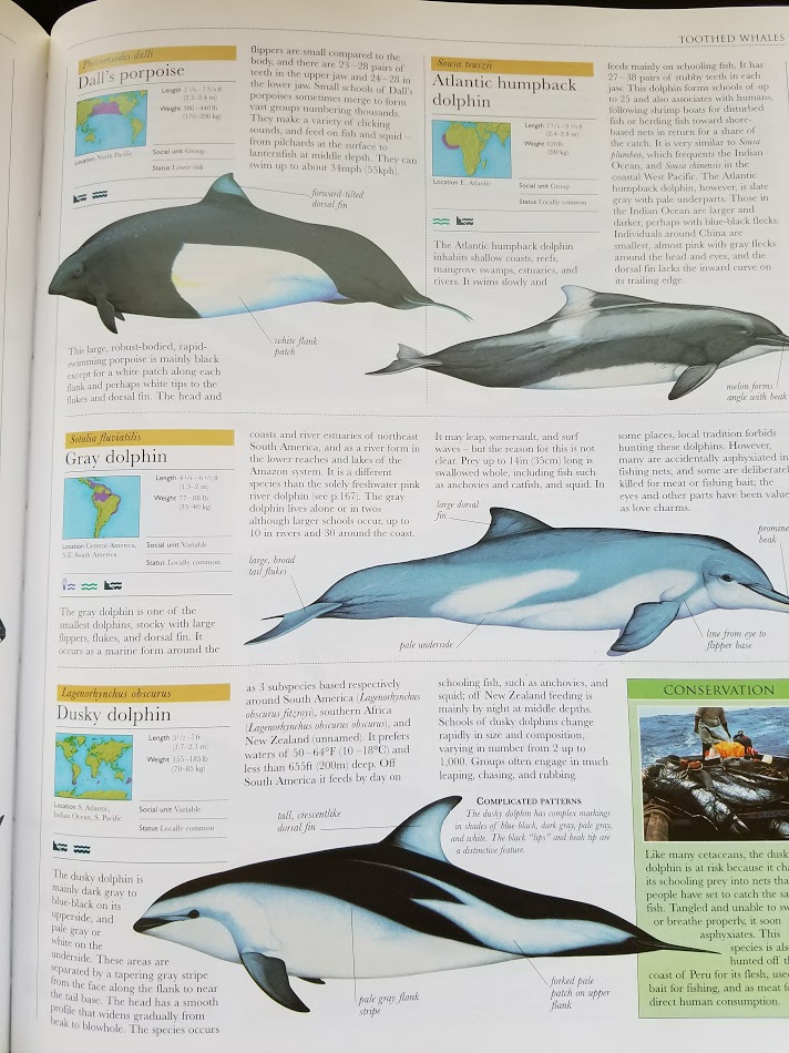 Animal: The Definitive Visual Guide to the World's Wildlife - The ...