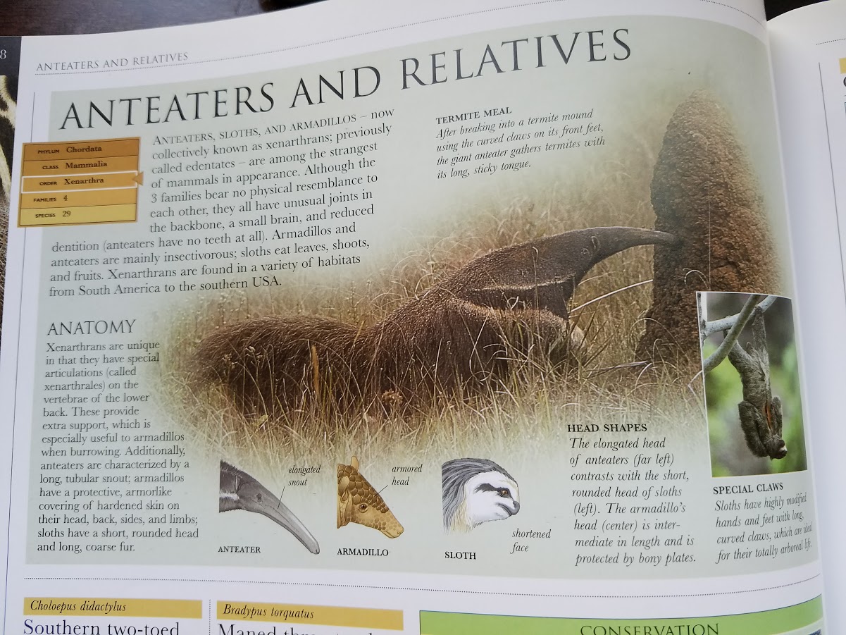 Animal: The Definitive Visual Guide to the World's Wildlife - The ...