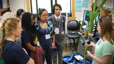 Cornell Learning Resources