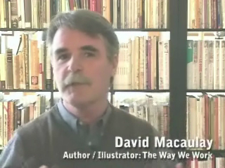 The Way We Work: Getting to Know the Amazing Human Body - David Macaulay