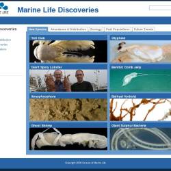 Ocean Biodiversity - Discovering Marine Invertebrates - The Smithsonian ...