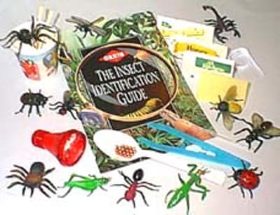 Discovering Insects Kit - Stratton House