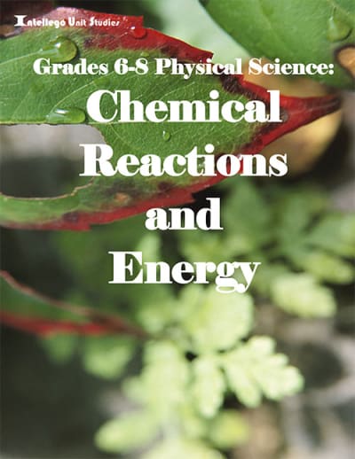 6-8 Physical Science: Chemical Reactions and Energy - Intellego