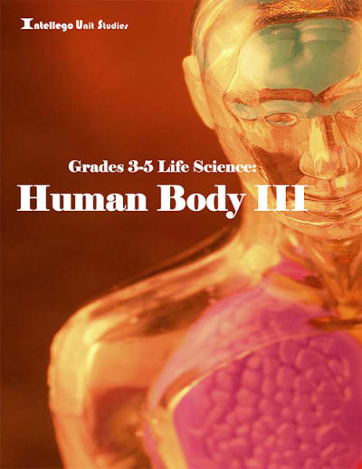 3-5 Life Science: Human Body III - Intellego