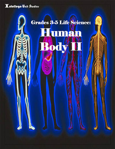 3-5 Life Science: Human Body II - Intellego