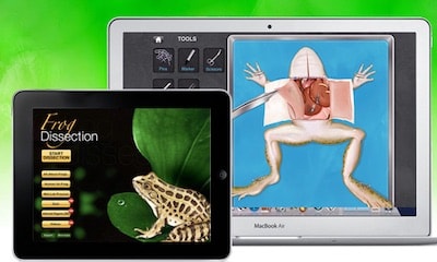 Virtual Frog Dissection - Punflay