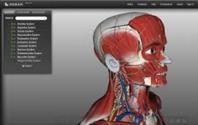 BioDigital Human: Anatomy and Health Conditions in Interactive 3D ...