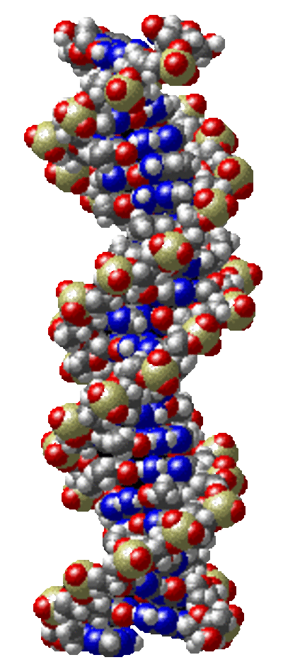 The Biology Project: Biochemistry - University of Arizona