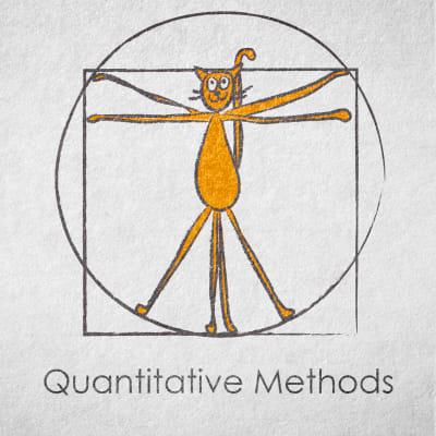 Quantitative Methods - University of Amsterdam
