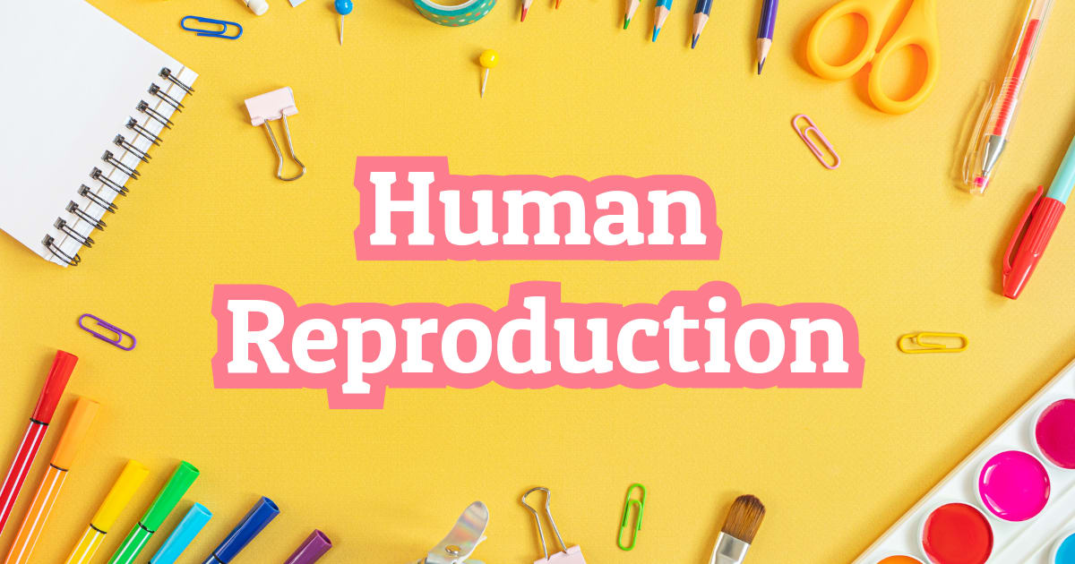 Learn Human Reproduction