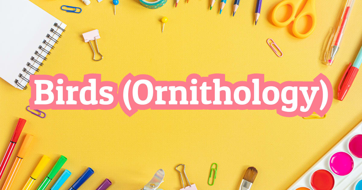 Learn Birds (Ornithology)