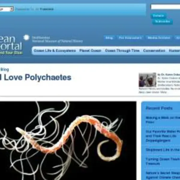 Ocean Biodiversity - Discovering Marine Invertebrates - The Smithsonian ...