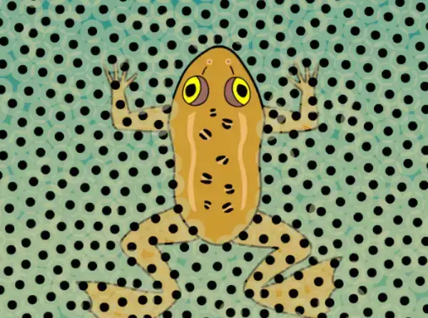 Frogs - BrainPOP