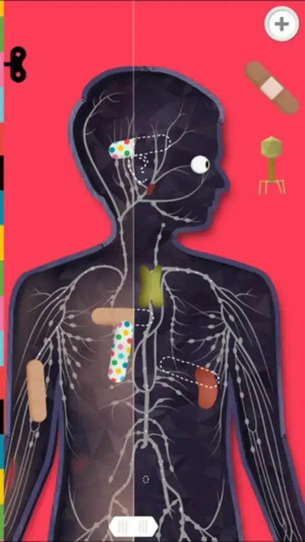 ‎The Human Body - Tinybop