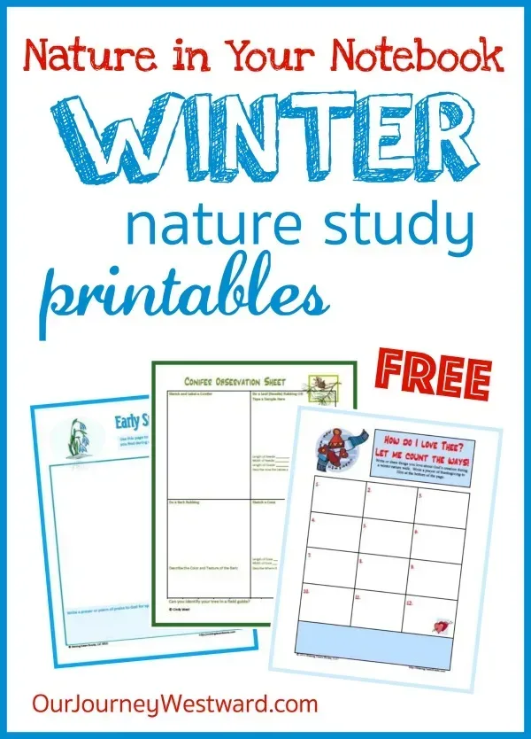 Winter Nature Study Printables - Our Journey Westward