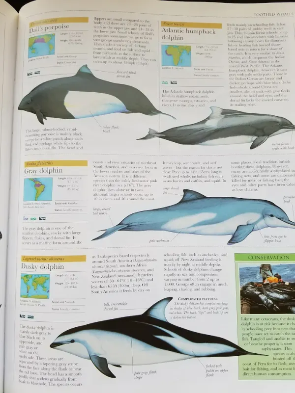 Animal: The Definitive Visual Guide to the World's Wildlife - The ...