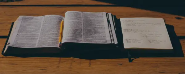 The Ultimate Revision Guide