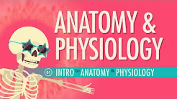 Anatomy & Physiology Crash Course - Crash Course