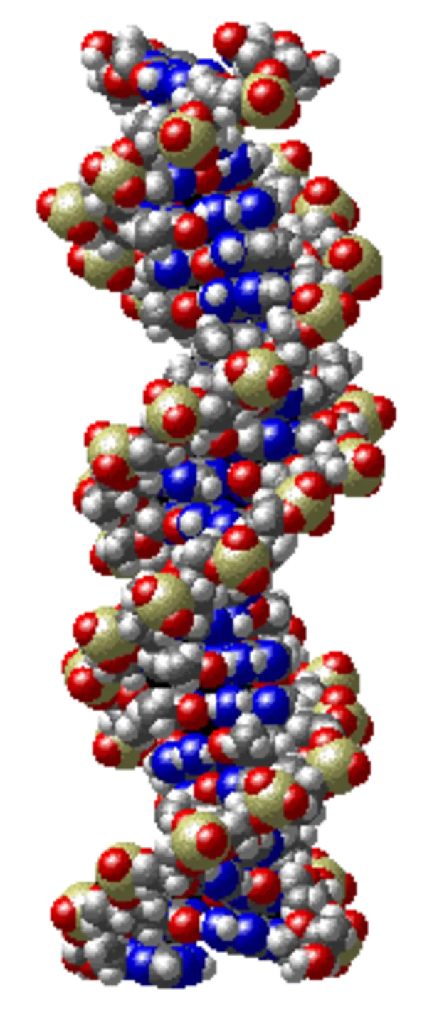 The Biology Project: Biochemistry - University of Arizona