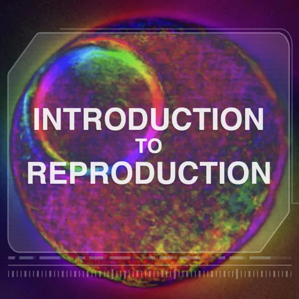 Introduction to Reproduction - Northwestern University