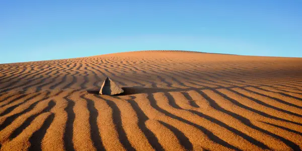 Basics of Light, Composition, and Color - Peltier Photo Courses