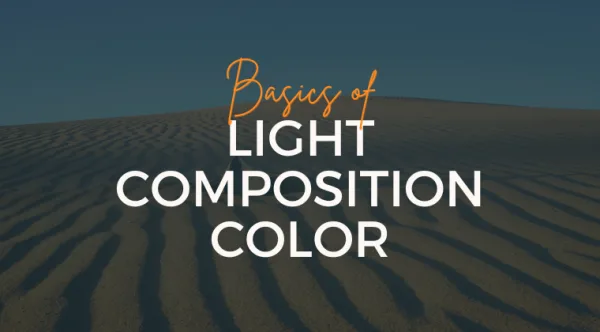Basics of Light, Composition, and Color - Peltier Photo Courses