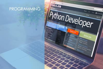 Python Programming Course - ITU Online