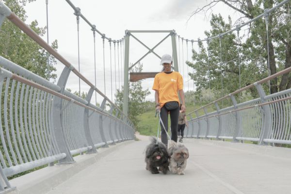 How To Book Dog Walkers | Spot Dog Walkers