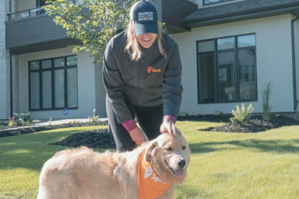 How Spot Work | Spot Dog Walkers