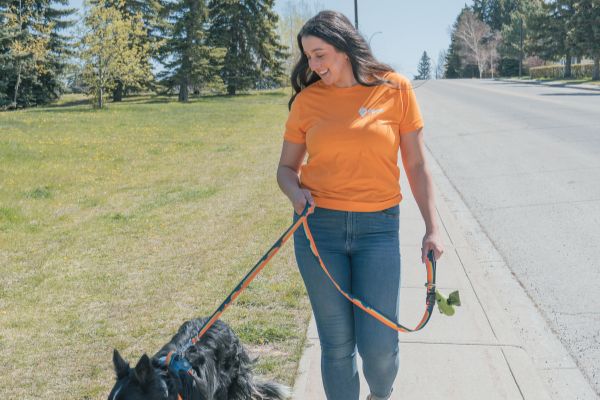 How To Book Dog Walkers | Spot Dog Walkers