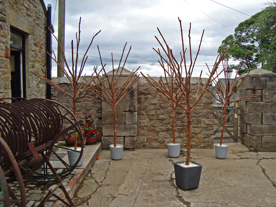 Bespoke Driftwood Sculpture - Bare Trees - Design Example