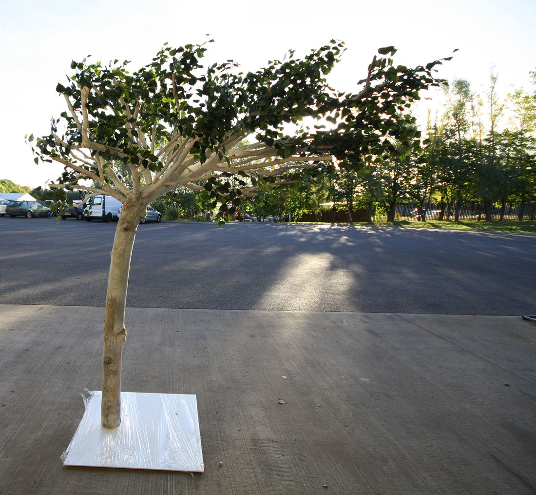 Bespoke Artificial Corner and Leaning Trees - Design Example