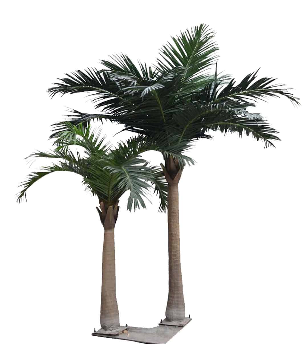 Bespoke Artificial Palm Trees - Design Example