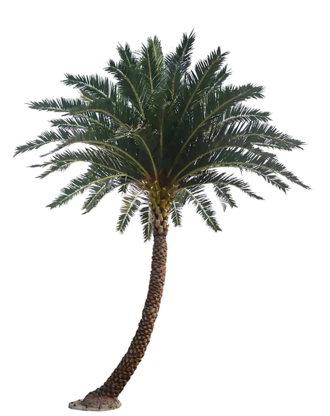 Bespoke Artificial Palm Trees - Design Example
