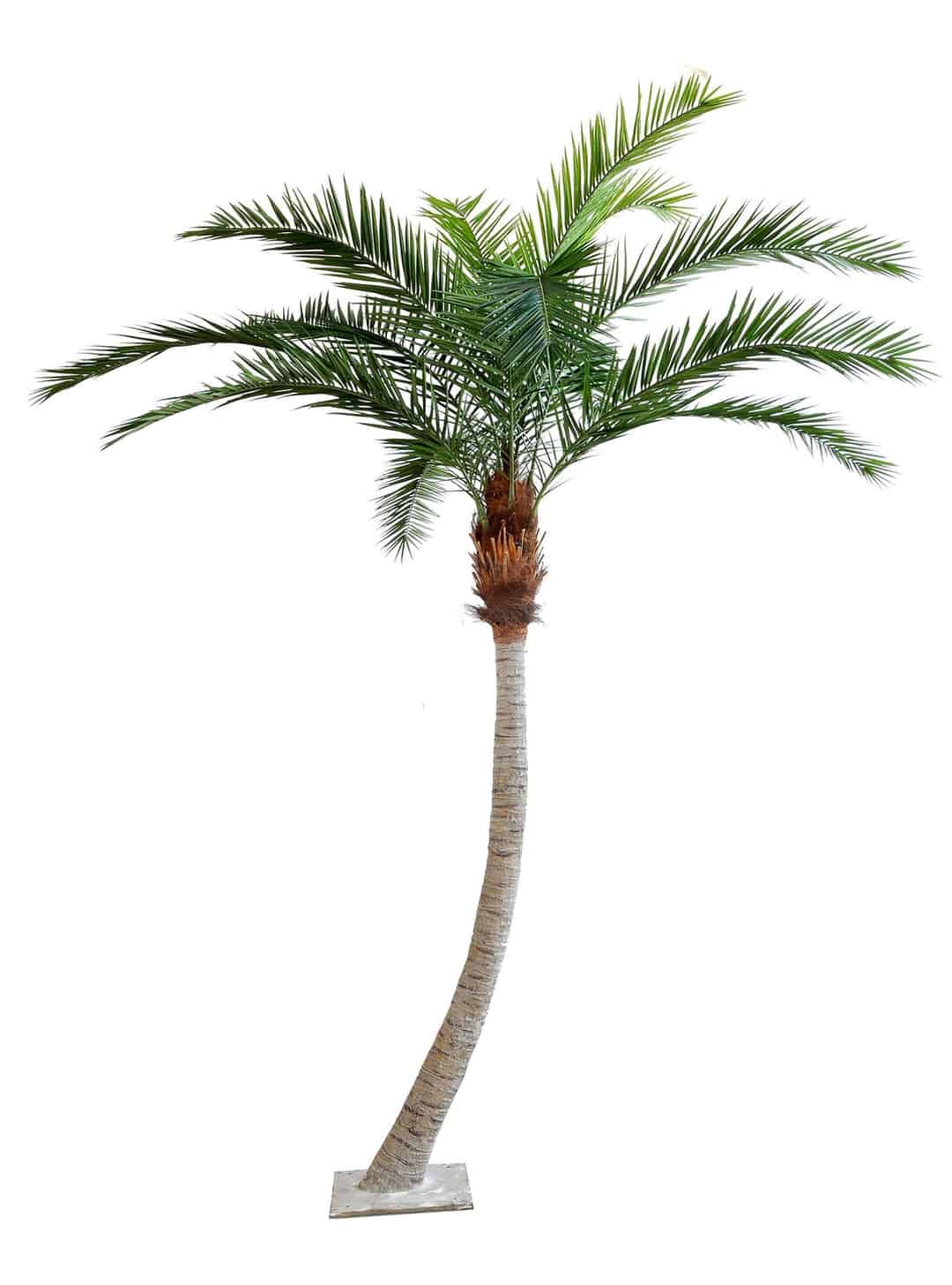 Bespoke Artificial Palm Trees - Design Example