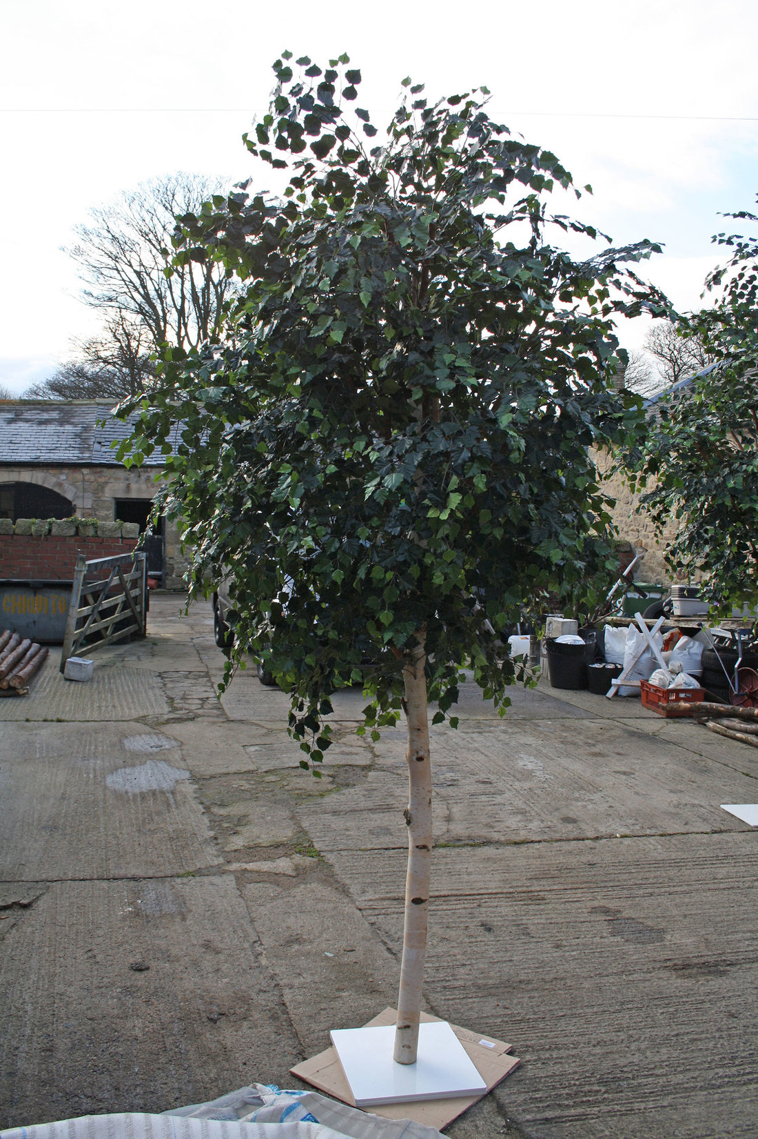 Bespoke Artificial Green Birch Trees - Design Example