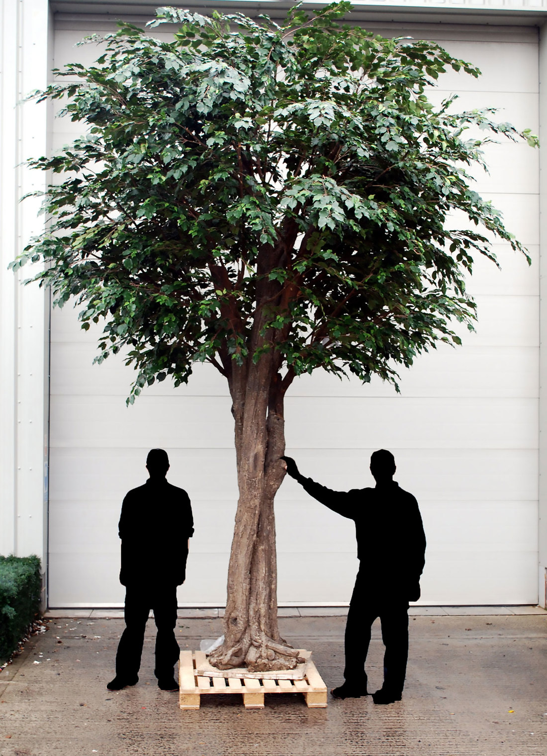 Bespoke Artificial Ficus Trees - Design Example