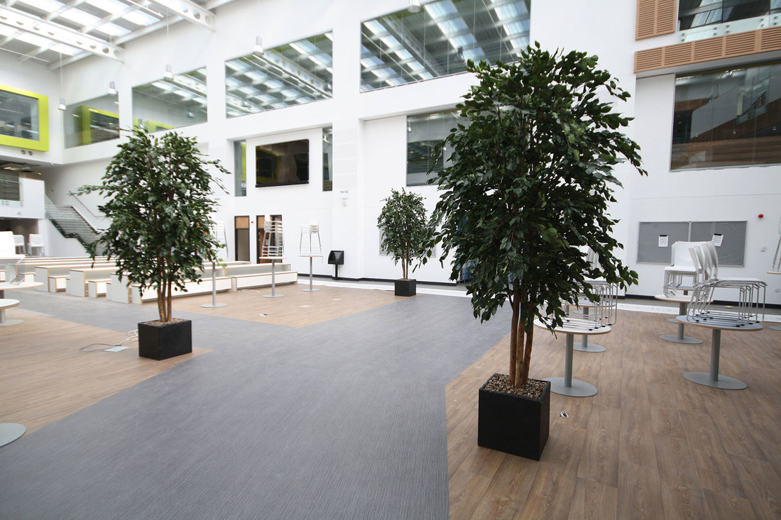 Bespoke Artificial Ficus Trees - Design Example