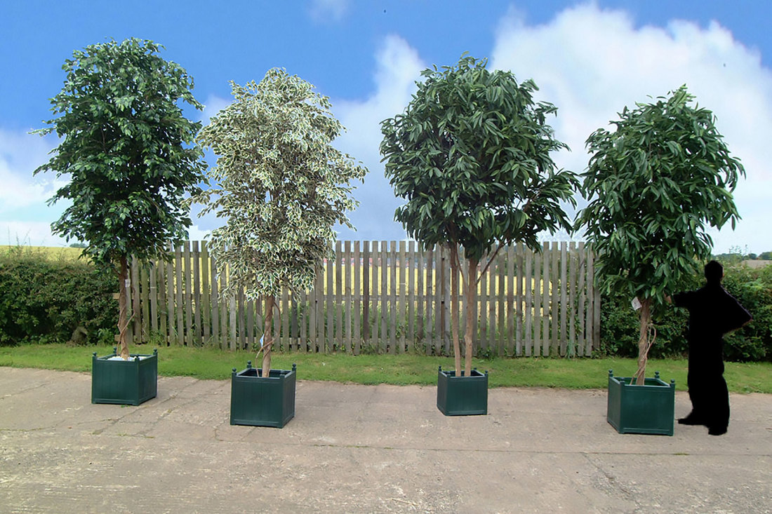 Bespoke Artificial Ficus Trees - Design Example