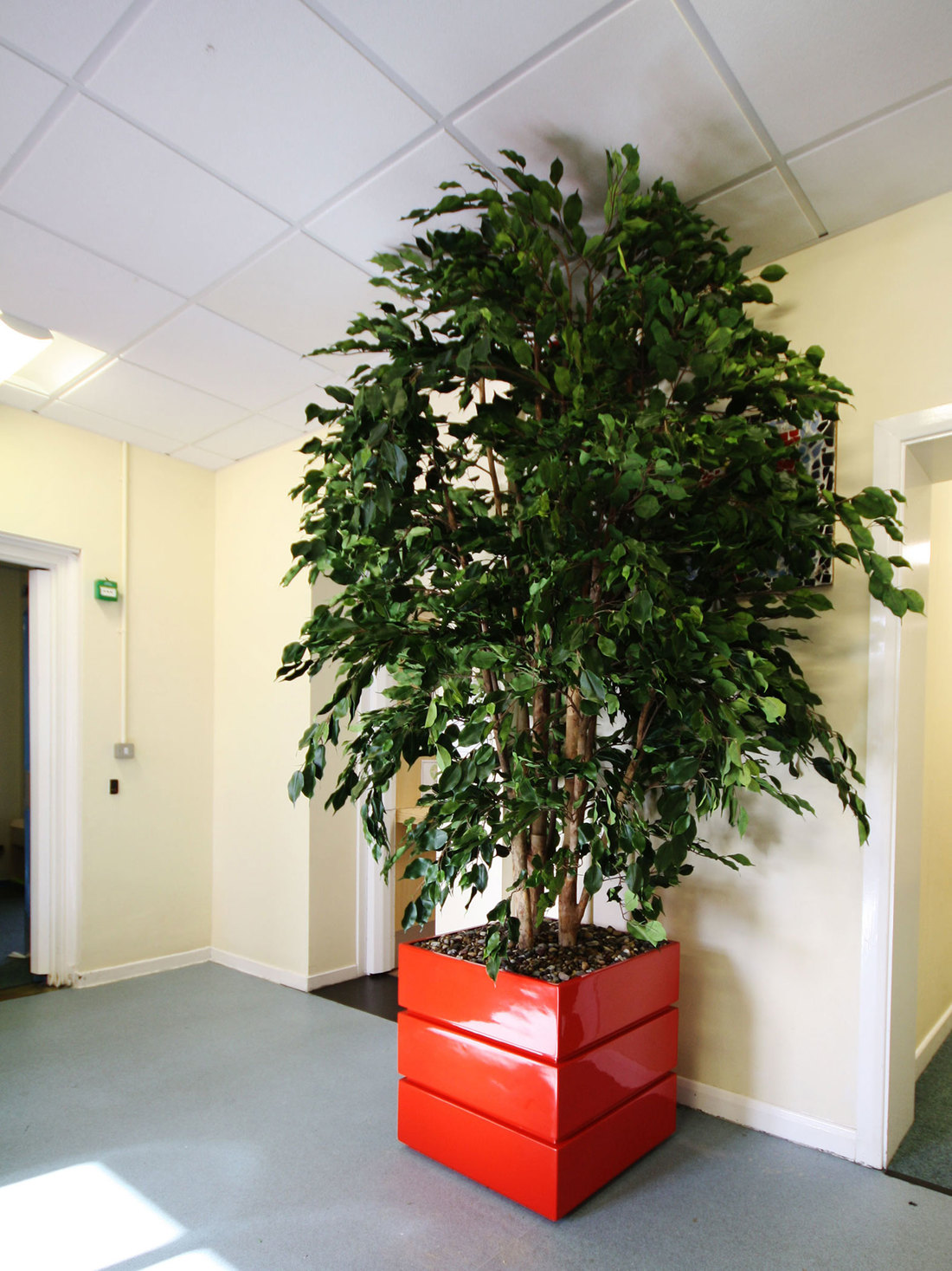 Bespoke Artificial Ficus Trees - Design Example