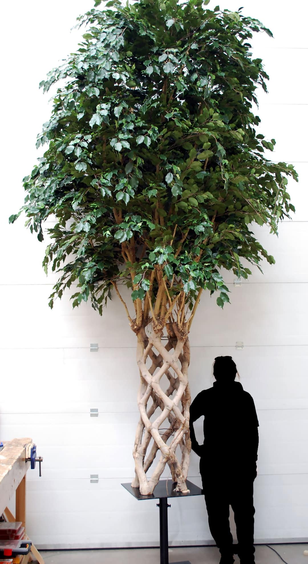 Bespoke Artificial Ficus Trees - Design Example