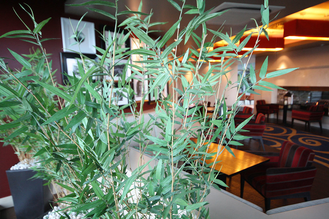 Bespoke Artificial Trees Example - Hilton Newcastle Airport