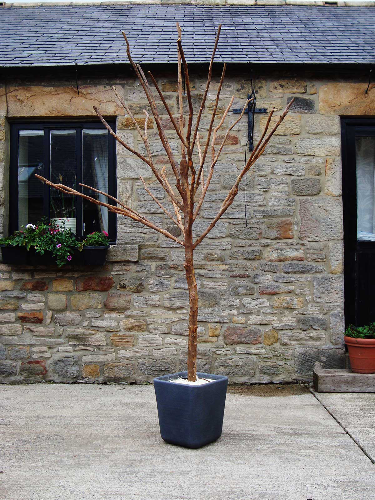 Bespoke Driftwood Sculpture - Bare Trees - Design Example